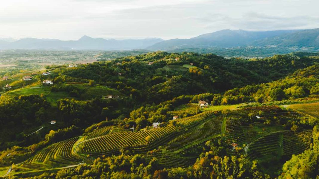 Friuli Venezia Giulia, l'itinerario tra le meraviglie della regione