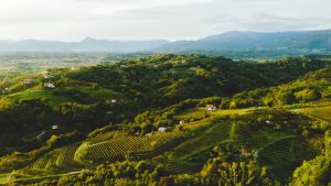 Friuli Venezia Giulia, l'itinerario tra le meraviglie della regione